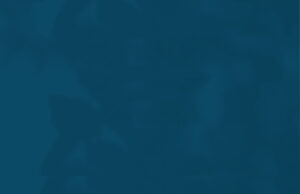 Macgregor Consulting